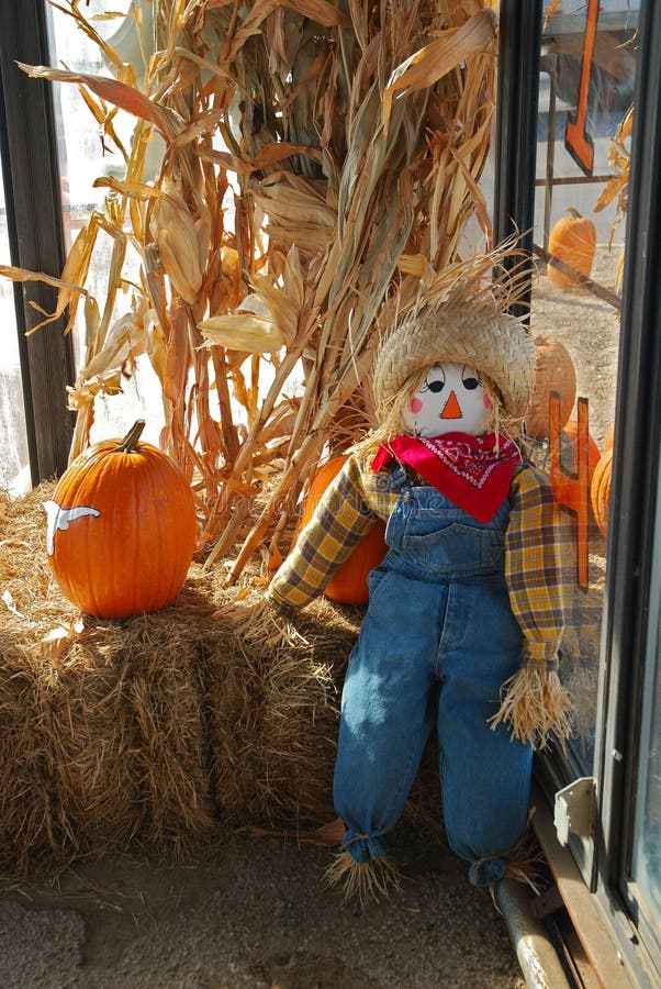 Harvest Decorations stock image. Image of farm, agriculture - 6632955