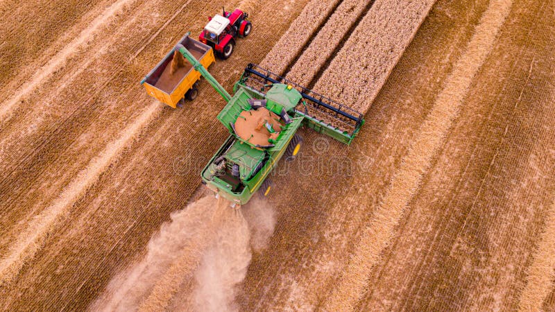 Harvest in the Field, Tractor in the Field, Harvester Harvesting Grain ...