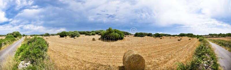 Harvest fields stock image. Image of practices, balears - 10613017