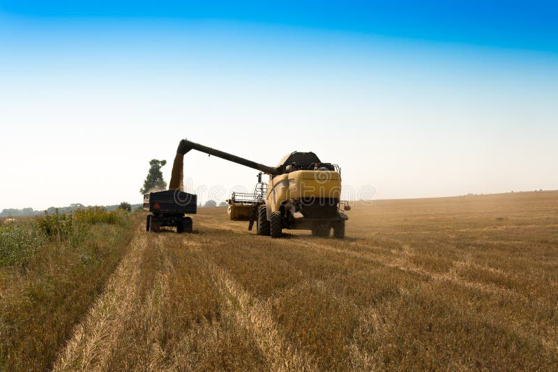 Harvest, Fields and Meadows during Harvest Stock Image - Image of ...