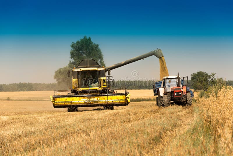 Harvest, Fields and Meadows during Harvest Editorial Photography ...