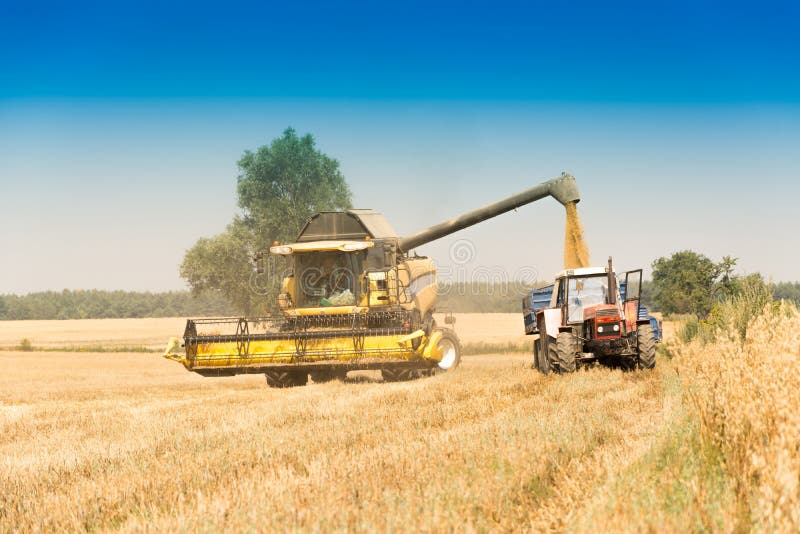Harvest, Fields and Meadows during Harvest Editorial Photo - Image of ...