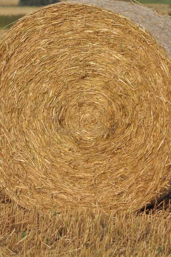 Harvest in the Fields. Straw Bales Collapsed Stock Photo - Image of ...