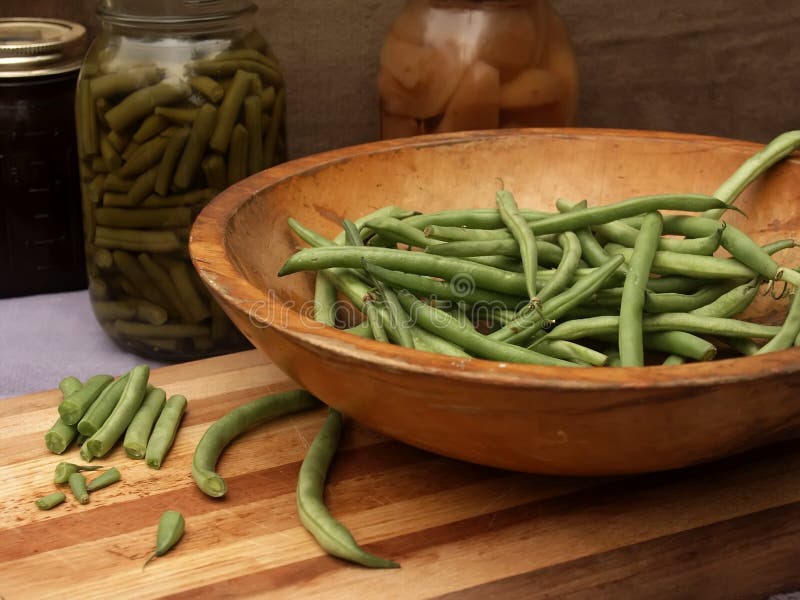 Harvest of Fresh Green Beans Stock Image - Image of farmers, homegrown ...