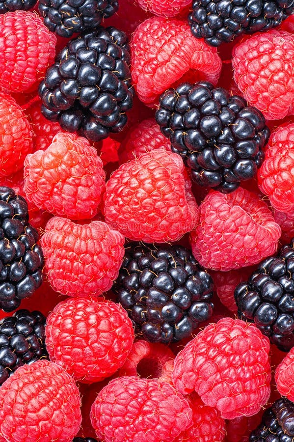 Harvest of Fresh Ripe Red and Black Berries Stock Photo - Image of ...