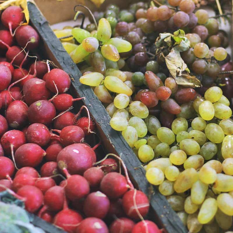 Harvest. Grapes, Radishes and Corn Stock Image - Image of isolated ...