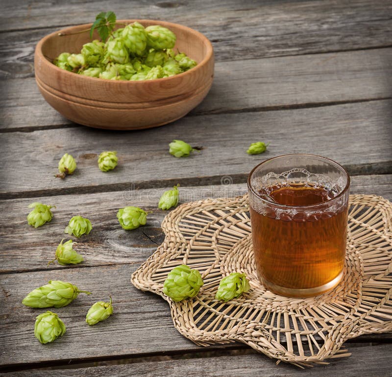 Harvest of Hops and a Glass Cup with a Drink from the Hops Stock Image ...