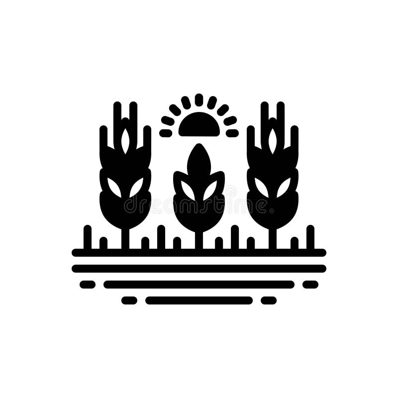 Black Solid Icon for Harvest, Wheat and Crop Stock Vector ...