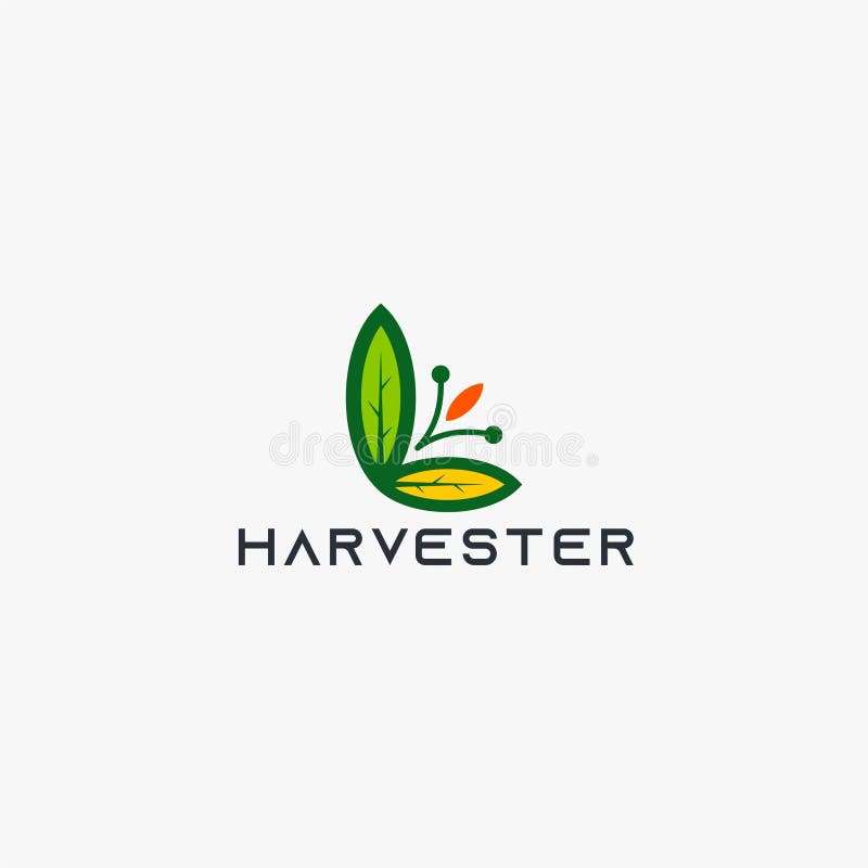 Harvest Leaf Logo Design Vector Stock Vector - Illustration of growth ...