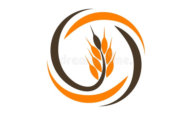 Harvest Logo Design Template Stock Vector - Illustration of agriculture ...