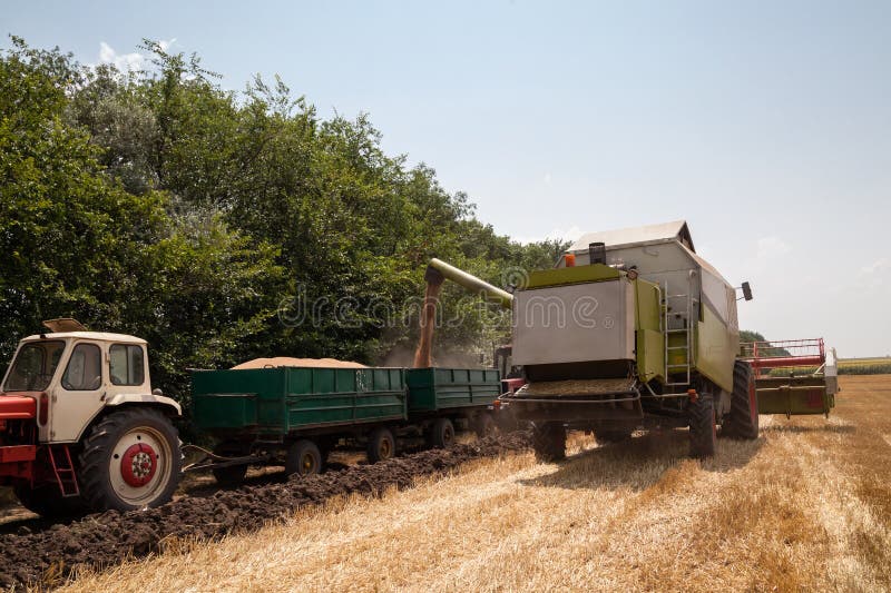 Harvest Machine Loading Seeds in To Tractor Trailer Stock Photo - Image ...