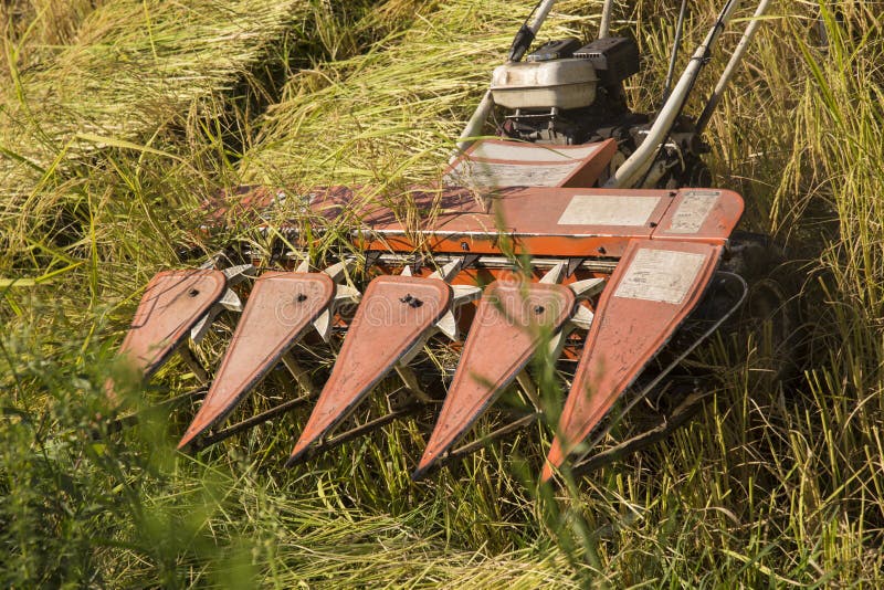 1,148 Paddy Harvesting Machine Stock Photos - Free & Royalty-Free Stock ...