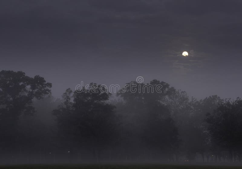 Harvest Moon stock image. Image of mist, fall, beautiful - 101485765