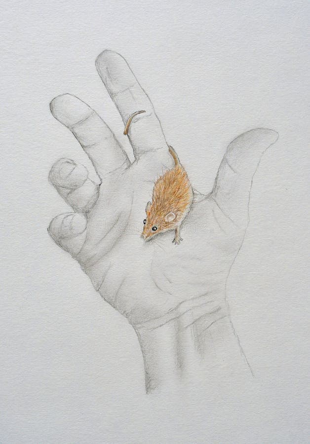 Harvest mouse on hand stock illustration. Illustration of hair - 59501434