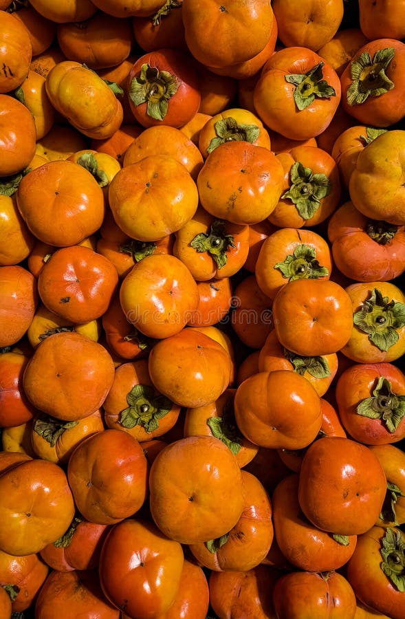 Harvest of Ripe Whole Persimmons Stock Image - Image of close, edible ...