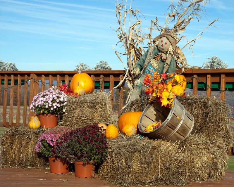 Harvest Scene stock photo. Image of season, blue, bushel - 6943466