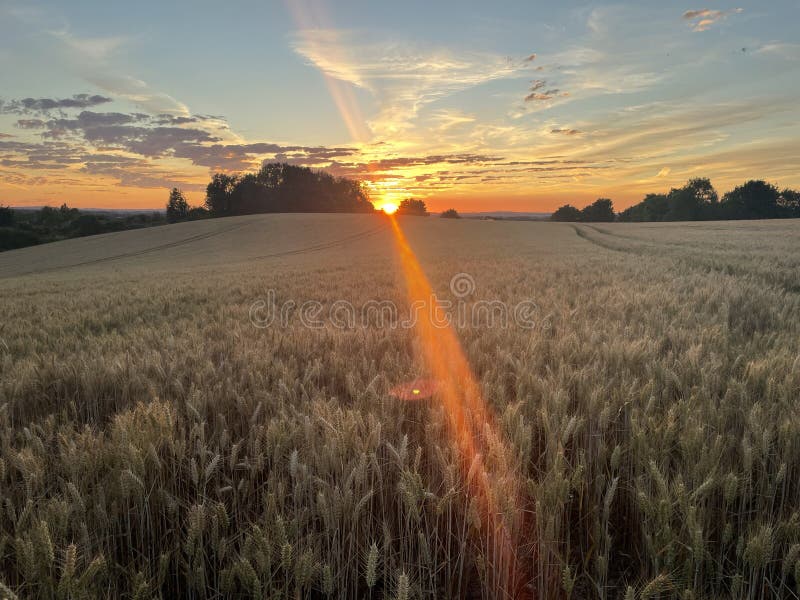 Harvest sunset stock image. Image of sunrise, prairie - 364445177