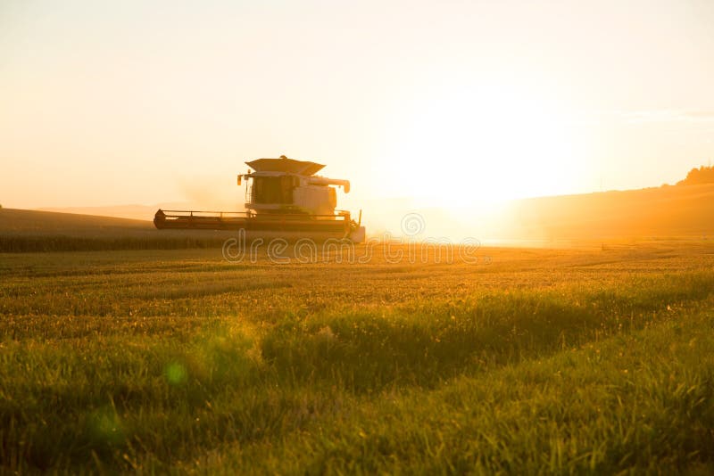 Harvest in the sunset stock image. Image of food, autumn - 37428241