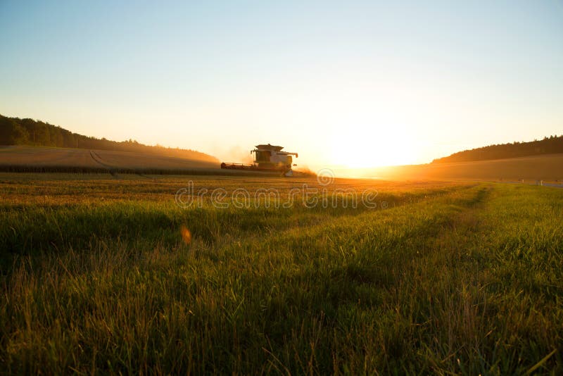 Harvest in the sunset stock photo. Image of harvest, autumn - 46431072