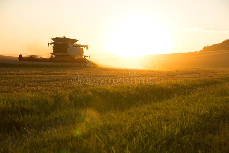 Harvest in the sunset stock image. Image of food, autumn - 37428241