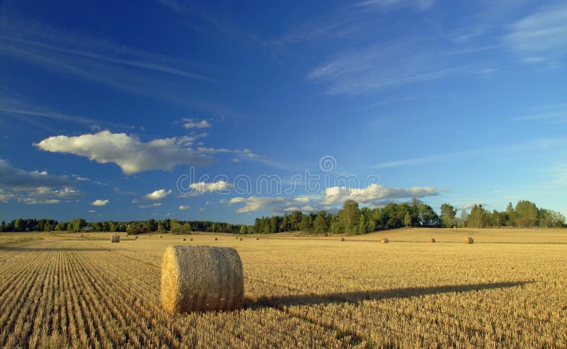 9,958 Sweden Agriculture Stock Photos - Free & Royalty-Free Stock ...