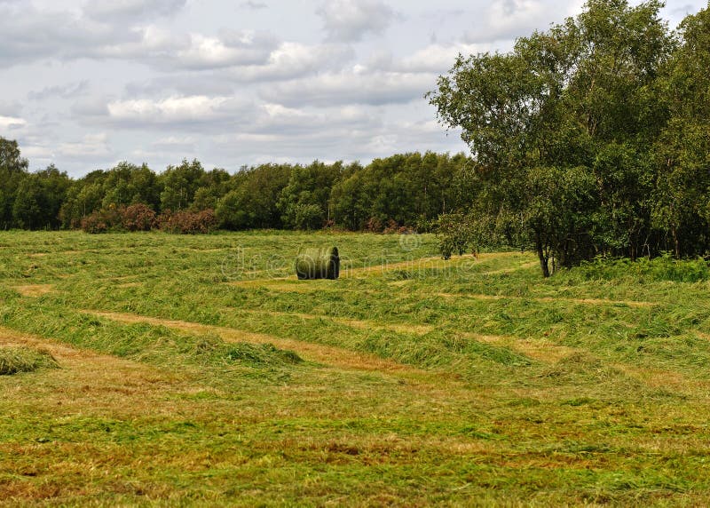 Big Round Co Stock Photos - Free & Royalty-Free Stock Photos from ...