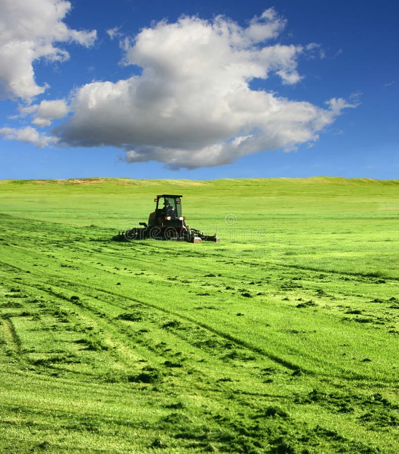 Harvest Time stock photo. Image of sustainable, agriculture - 33800174