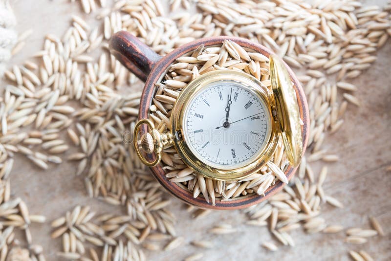 Harvest time stock photo. Image of ripe, field, pocket - 54513450