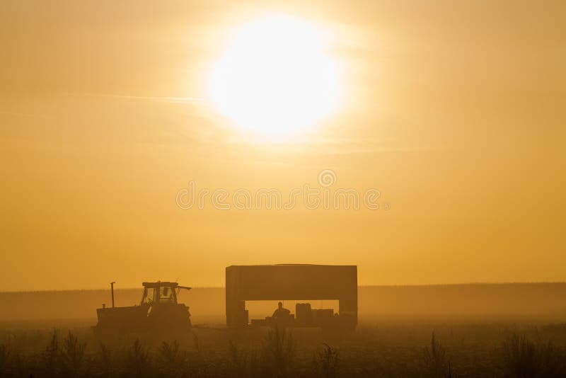 Harvest stock image. Image of nature, sunrise, mitst - 44621441