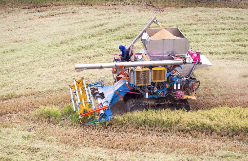 Harvest tractor stock image. Image of tractor, cultivation - 58008855