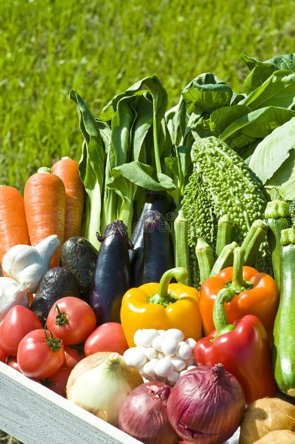 644 Vegetables Groups Stock Photos - Free & Royalty-Free Stock Photos ...