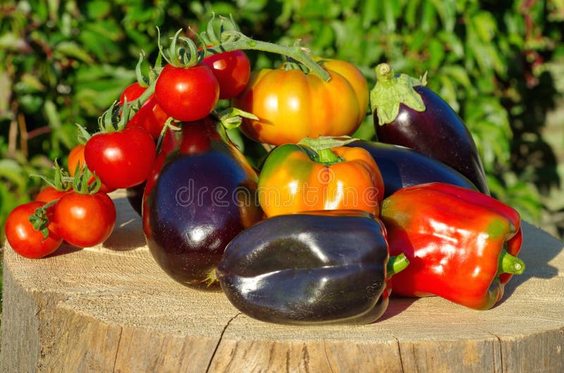 Harvest Vegetables on a Stump Stock Photo - Image of pepper, garden ...