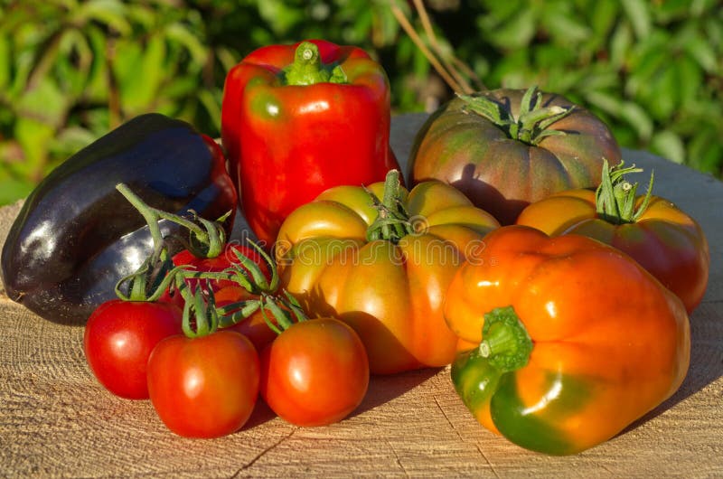 Harvest Vegetables on a Stump Stock Photo - Image of summer, pepper ...