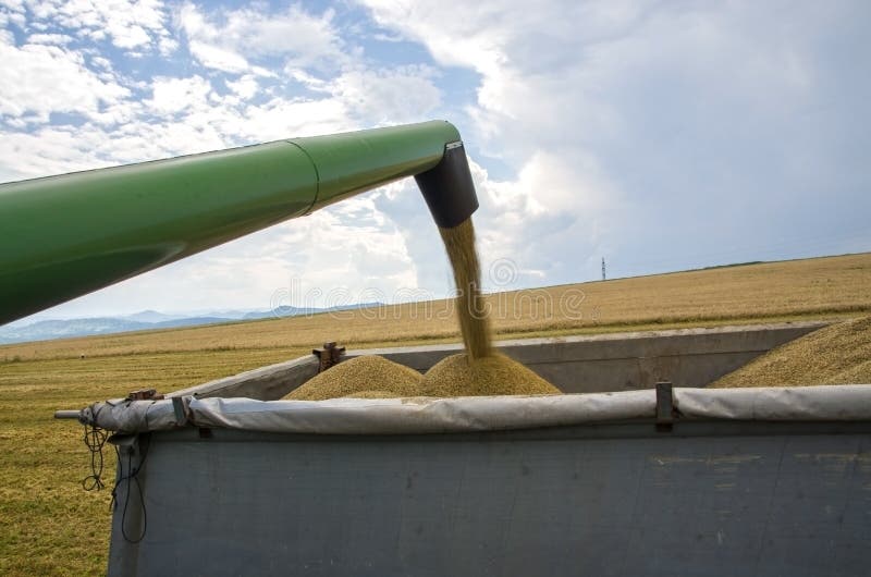 Harvest stock photo. Image of dust, grain, loading, technology - 32364716