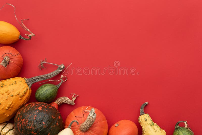 Harvest of Winter Squashes and Decorative Pumpkins on Red Background ...