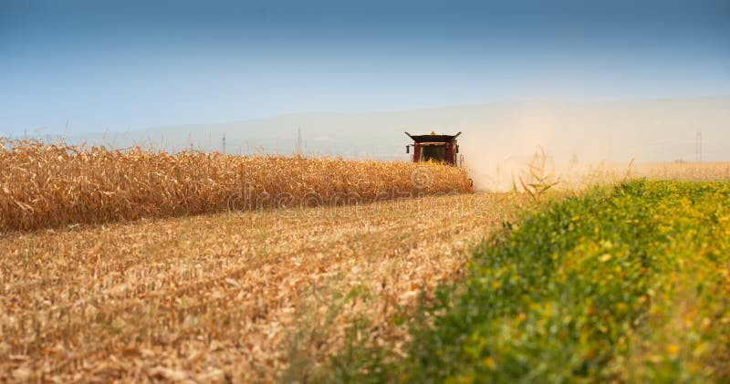 Harvest Work. a Modern Combine Harvester Working a Wheat Field Stock ...
