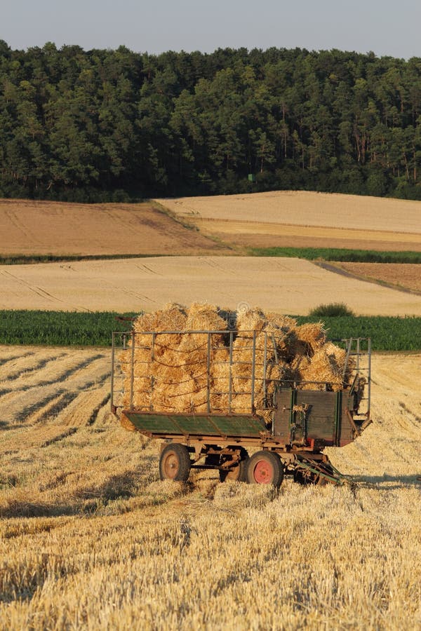 Harvested field stock photo. Image of rural, farming - 16241192