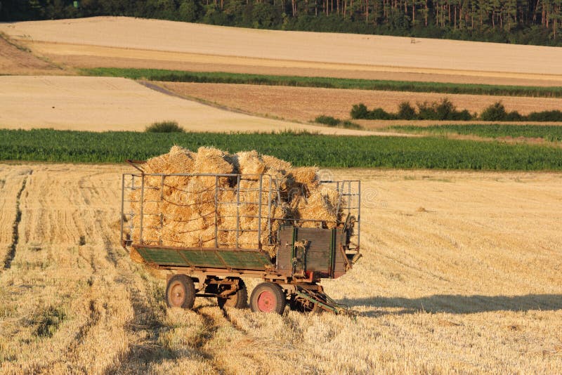 Harvested field stock photo. Image of farming, agriculture - 16689834