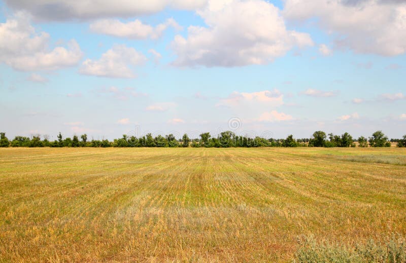 Harvested field stock photo. Image of country, crop, gold - 26466382