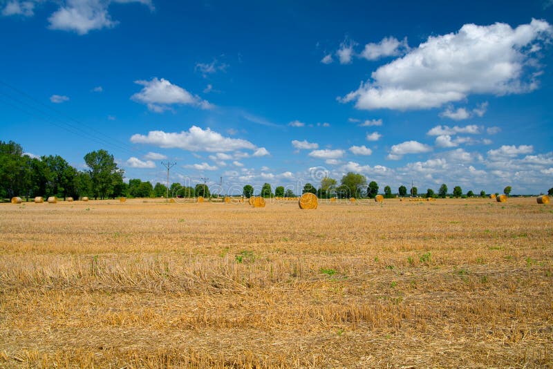 Harvested field stock photo. Image of agriculture, summer - 56378806