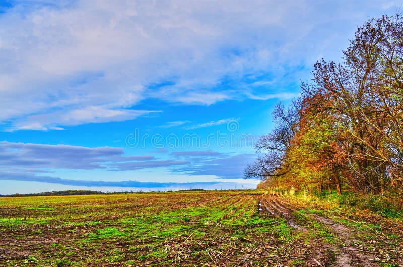 A Harvested Field that Has Dried Up from the Drought Stock Image ...