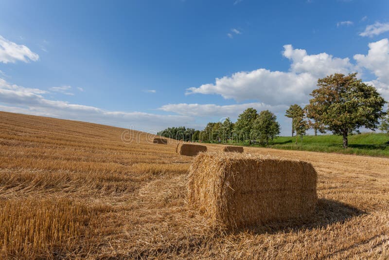 Harvested Haystack in a Field. Stock Photo - Image of farmland, autumn ...