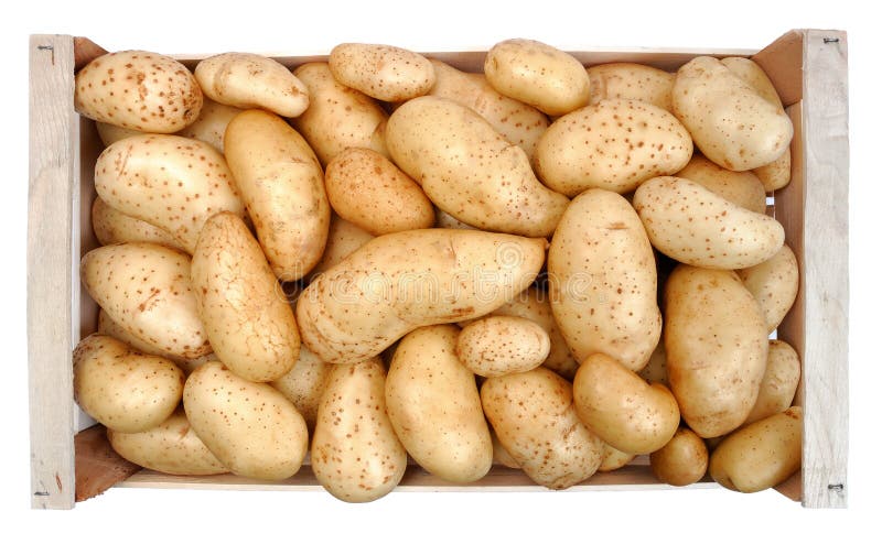 Case of Potatoes stock photo. Image of diet, summer - 120819986