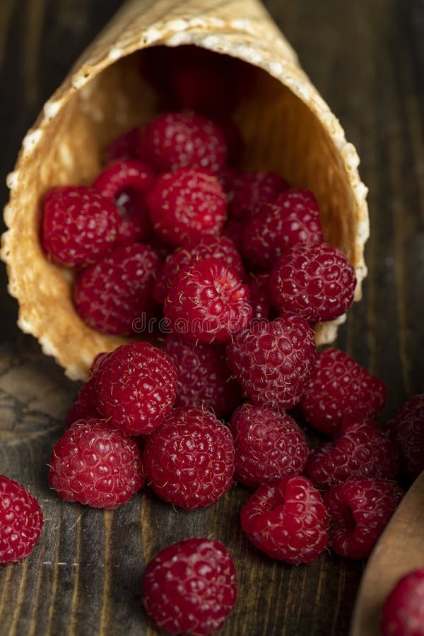Harvested Red Ripe Raspberries in a Waffle Cone Stock Image - Image of ...