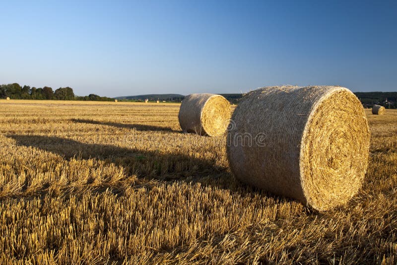 Harvested Roll of Straw stock image. Image of crop, landscape - 10629747