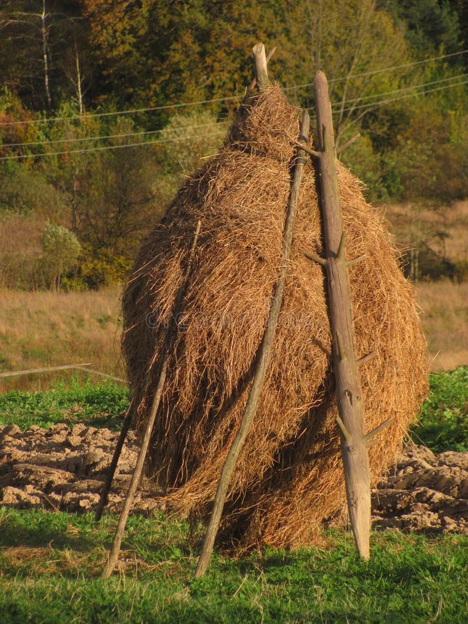 Harvested Stack of Hay in the Field for the Winter Stock Image - Image ...