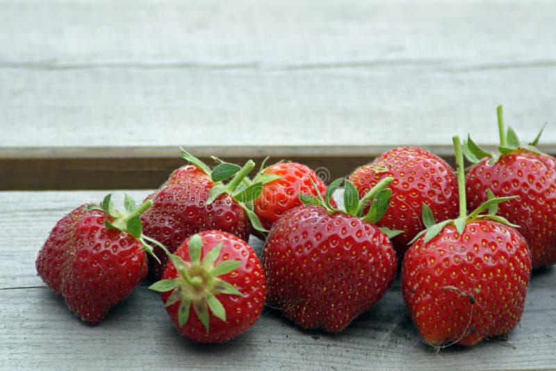 Harvested strawberries stock image. Image of eating, freshness - 25662185