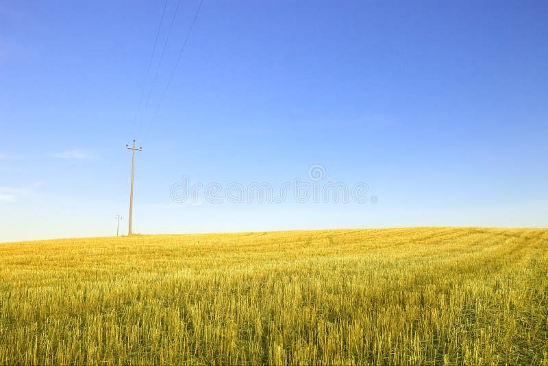 Harvested Wheat Field and Electric Power Line. Stock Photo - Image of ...