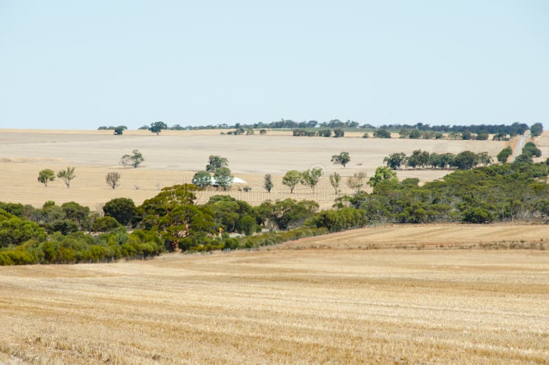 Western Australian Wheat Farm Stock Photos - Free & Royalty-Free Stock ...
