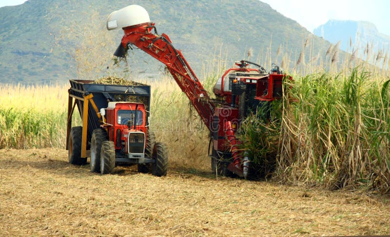 1,050 Cane Machinery Stock Photos - Free & Royalty-Free Stock Photos ...